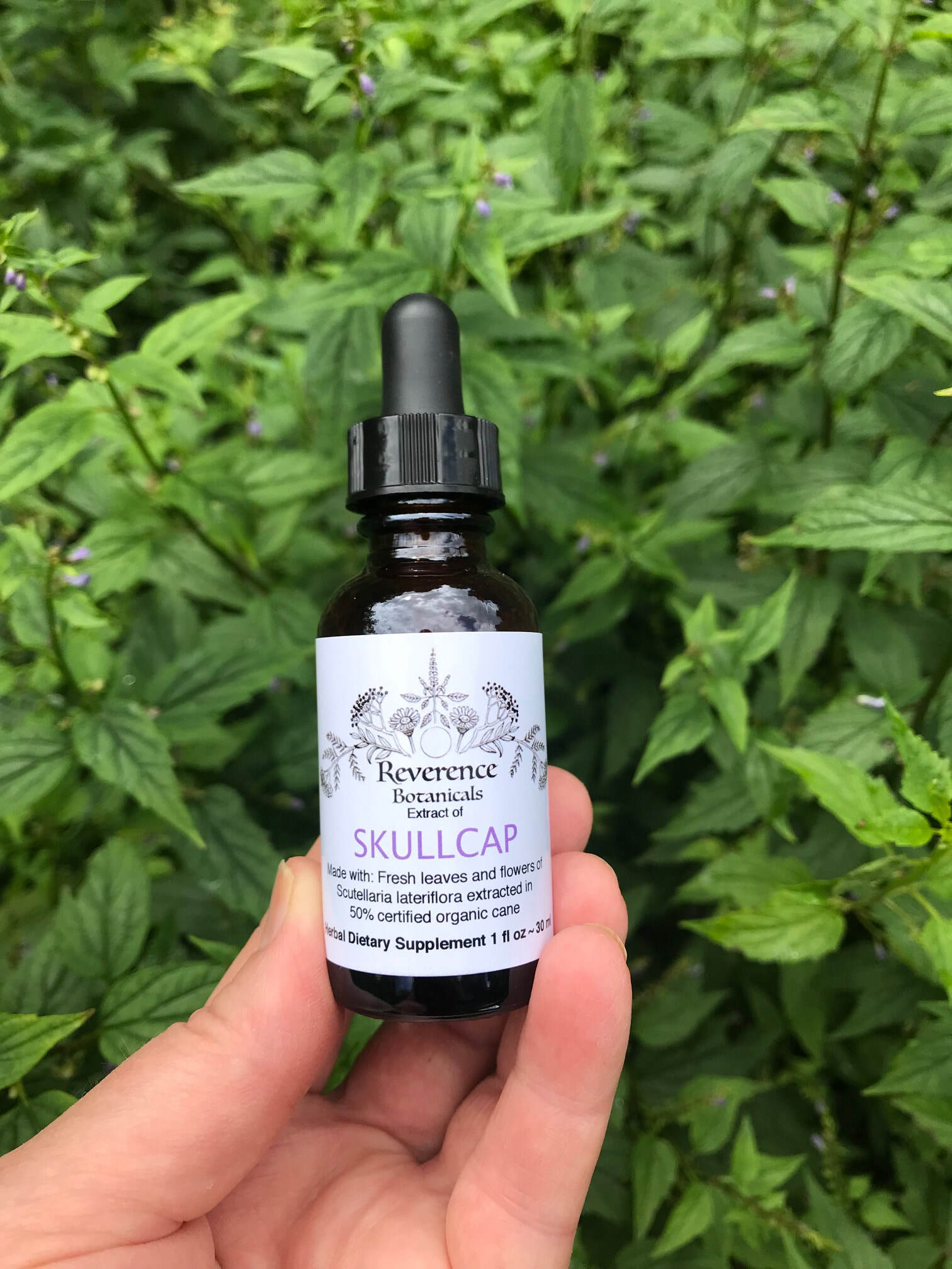 Herbal extracts and tinctures made from freshly harvested organically ...