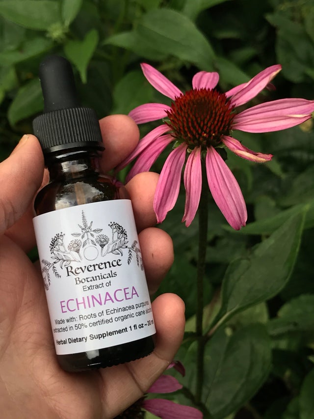 Herbal extracts and tinctures made from freshly harvested organically ...