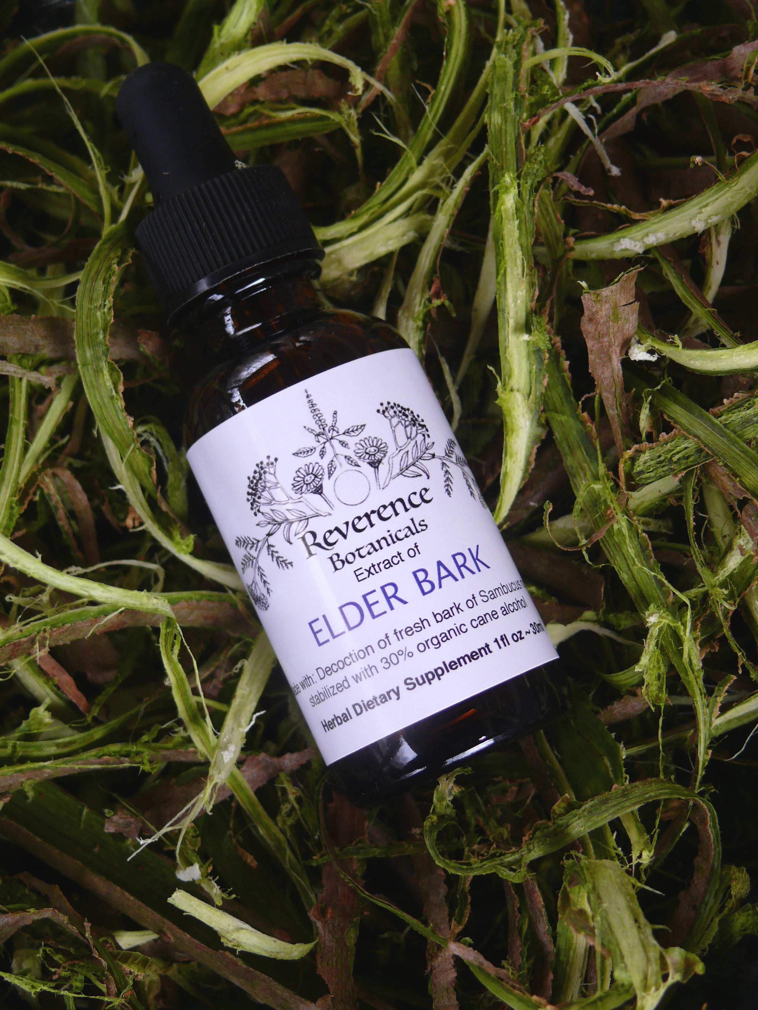 Elder bark decoction, Elderberry bark, Sambucus nigra bark | Reverence ...