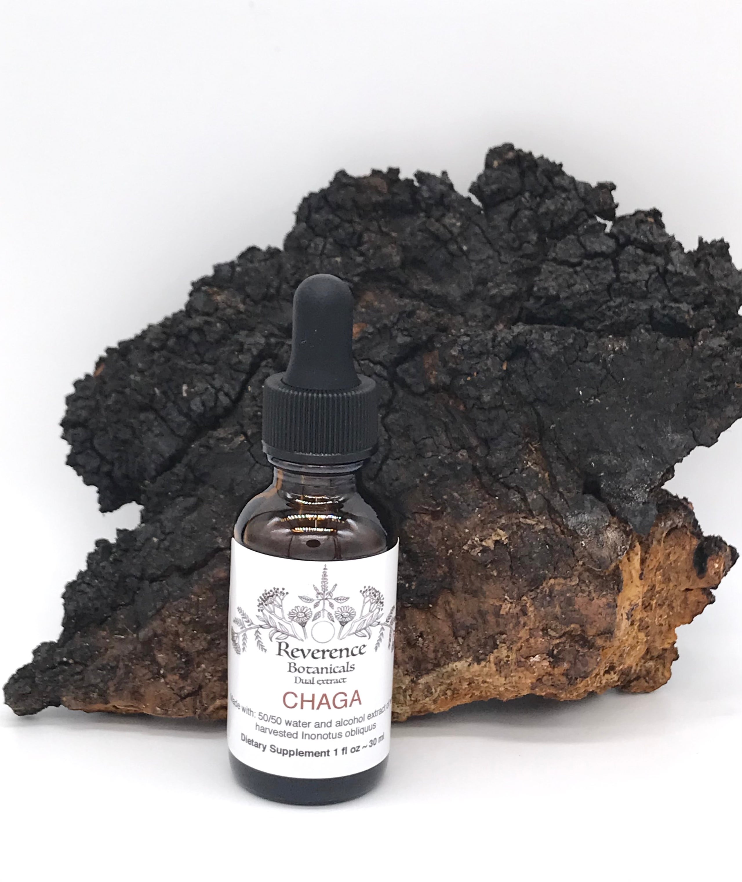 chaga extract, chaga tincture, Wldcrafted chaga, dual extract chaga ...